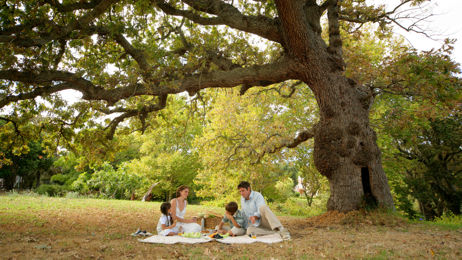 Creative Family Engagement Activities Ideas to Strengthen Bonds and ...